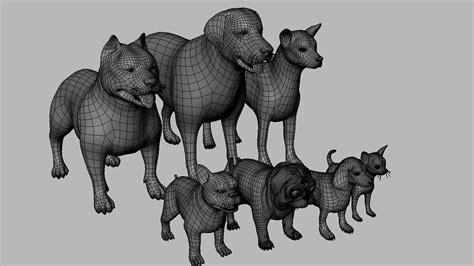 Image result for Normal Map Dog