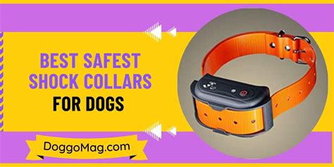 Image result for Sharp Training Collars for Dogs