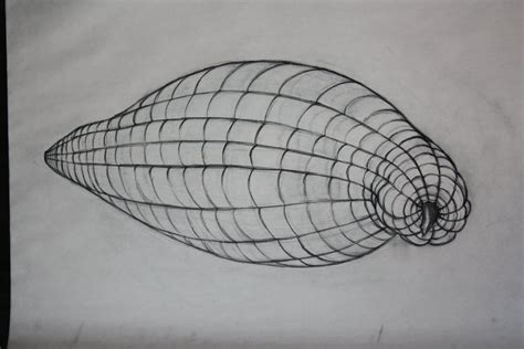 Image result for Cross Contour Object Drawing
