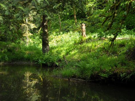 Image result for Conservation Stewardship Program