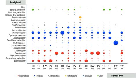 Image result for Microbial Profiling of the Samples