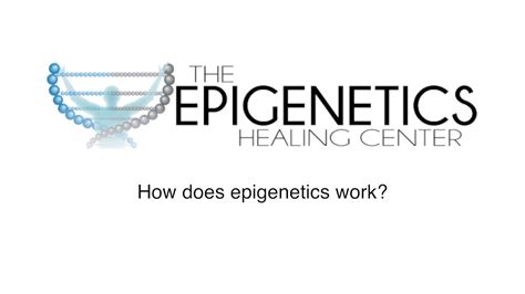 Image result for Epigenetics How Does Work