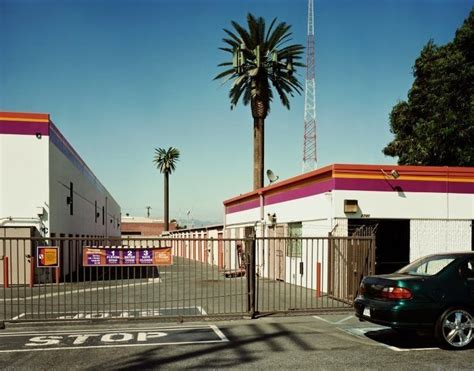 Image result for Fake Tree Cell Tower