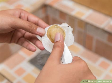 Image result for How to Clean Scallops
