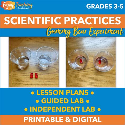 Image result for Fair Test Science Primary