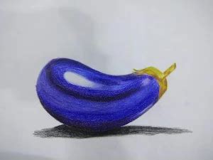 Image result for Object Drawing with Colour