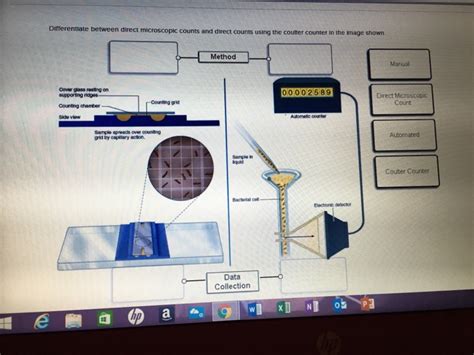 Image result for Direct Microscopic Count