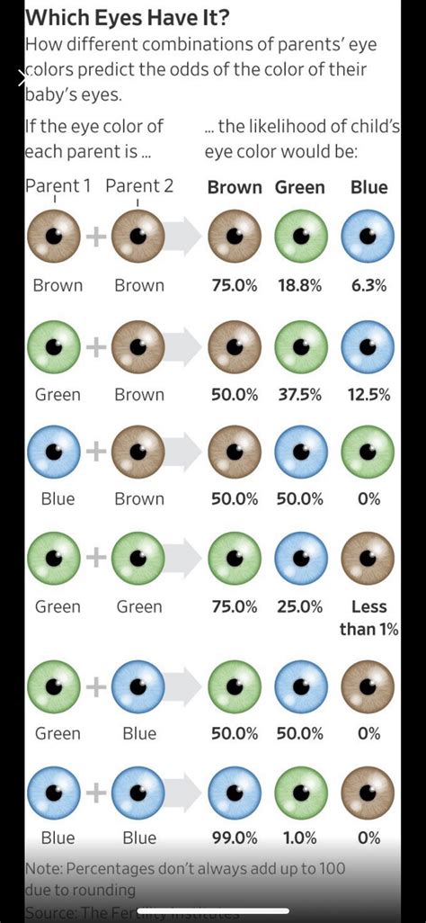 Image result for Punnett Square Explained Eye Color