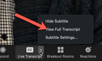 Image result for Colibri Zoom. Live Transcript