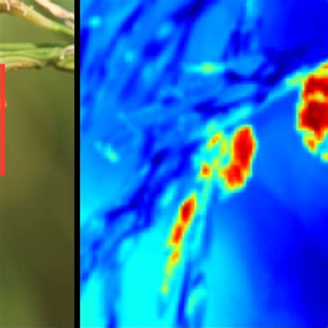 Image result for Generative Model Feature Map