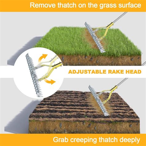 Image result for Dethatching Rake