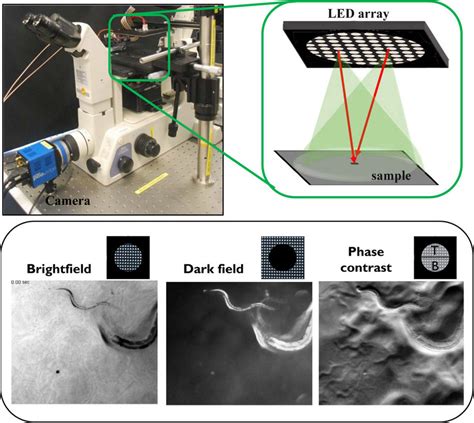 Image result for LED Microscope View in Computers