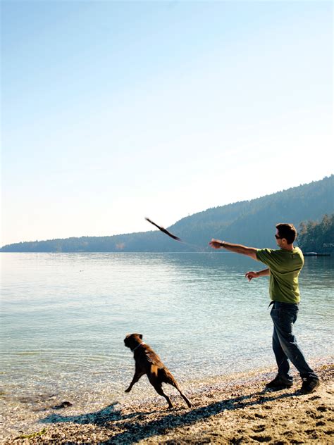 Image result for Local Salt Salt Spring Island