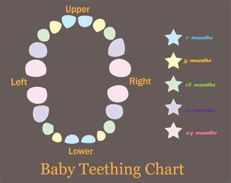 Baby Teething Chart | Cute Smiles 4 Kids | San Antonio, TX