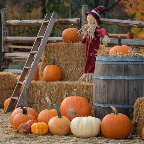 Image result for Fall Decorating Outside