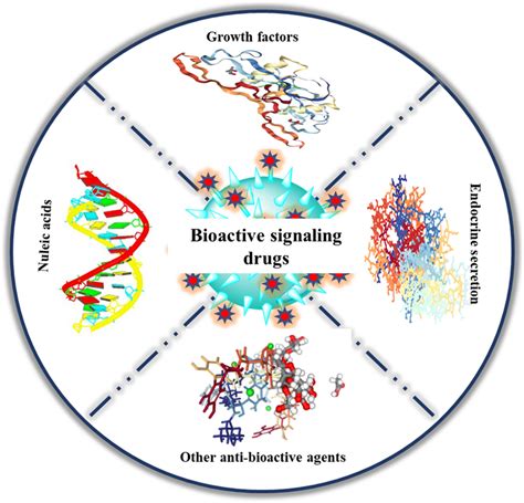 Image result for Bone Formation Signaling Pathway