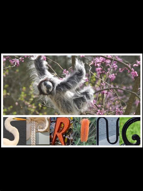 Image result for iOS App Alphabet