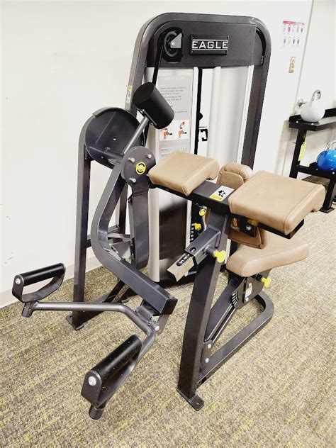 Image result for Cybex Arm Curl Machine