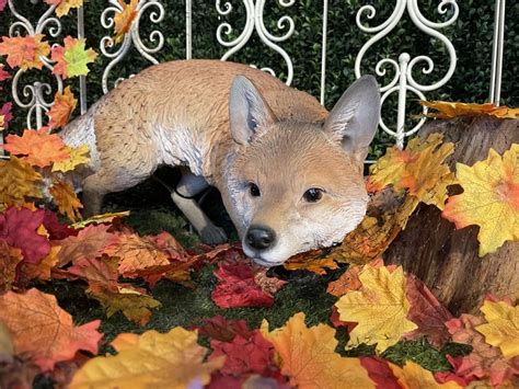 Image result for iPhone 12 Pro Max