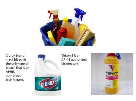 Image result for Regulated Garbage Form