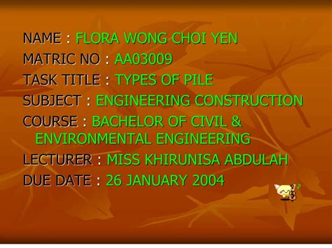 Image result for Pile Types