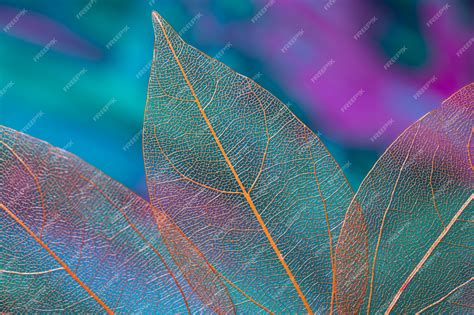 Image result for Cool Computer Backgrounds That Move