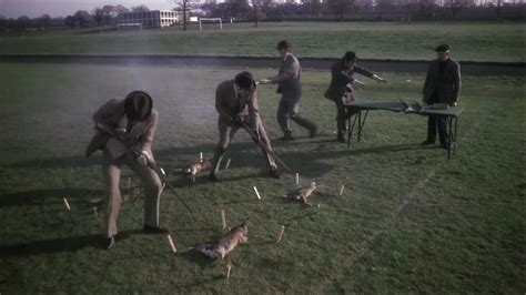 Image result for Monty Python Twit