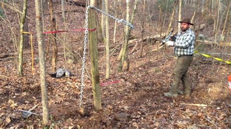 Image result for How to Pull Small Tree Stumps Out