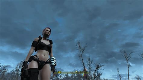Image result for Fallout 4 CBBE Mod Installation