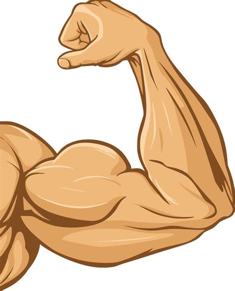Image result for Strong Arm Vector