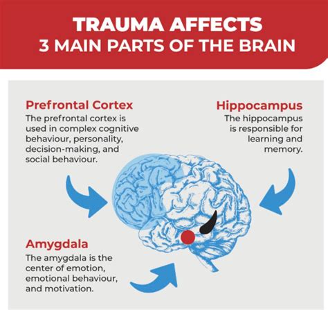 Image result for How Trauma Affects Behavior