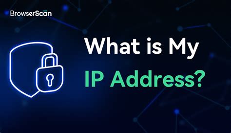 Image result for How to Check IP Address