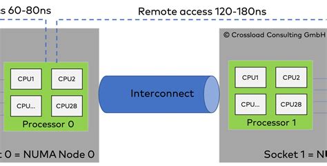 Image result for Numa Python
