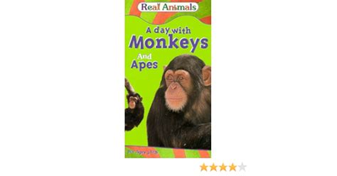 Image result for KidVision Real Animals