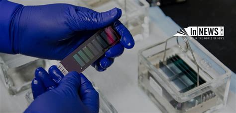 Image result for Drug Testing