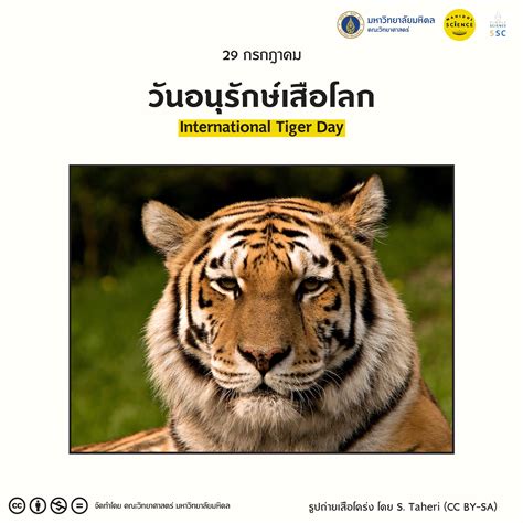 Image result for Blue Science Simple