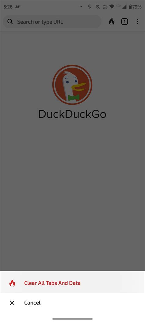 Image result for Duck Duck Go Features