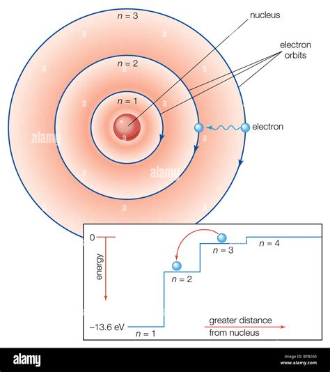 Image result for Bohr Model Shells