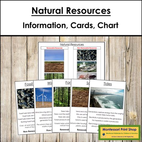 Image result for Natural Resources Classification Chart