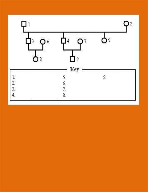 Image result for Sample Genogram Template