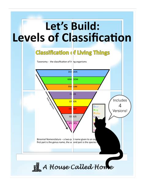 Image result for Example of Classification 4 Levels