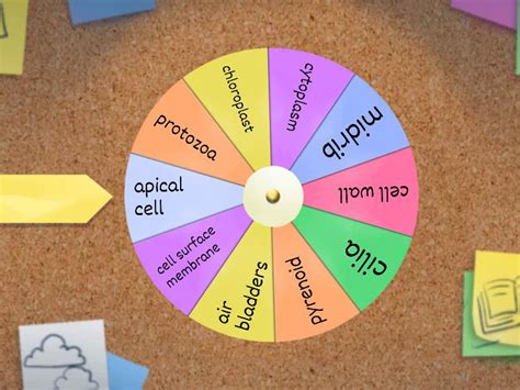 Image result for Random Selection Biology