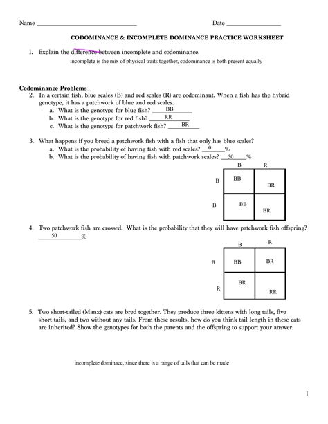 Image result for Mendelian Genetics Worksheet Answer Key