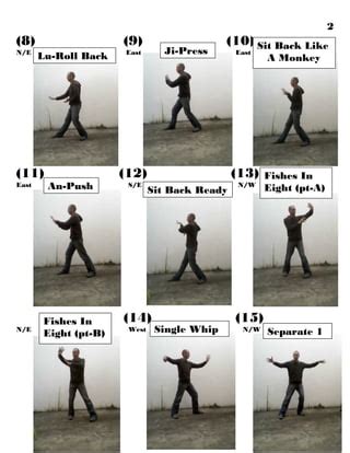 Image result for Yang Style Short Form Lesson 1 8