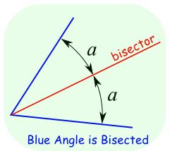 Image result for Define Bisect
