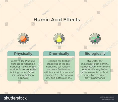 Image result for Humic Acid for Humans