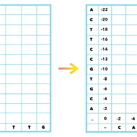 Image result for Global Sequence Alignment Examples
