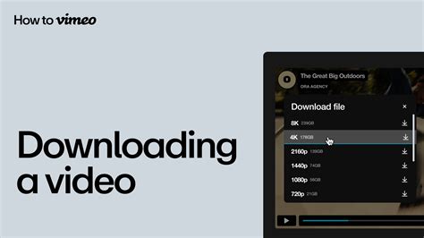 Image result for Video Downloading Tips