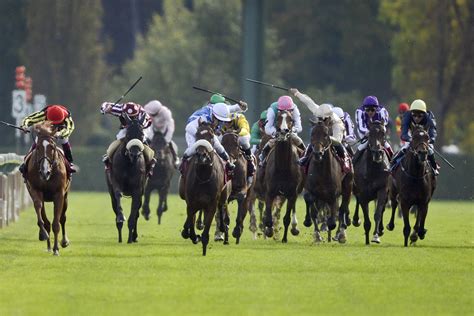 Image result for Course de Chevaux en Direct