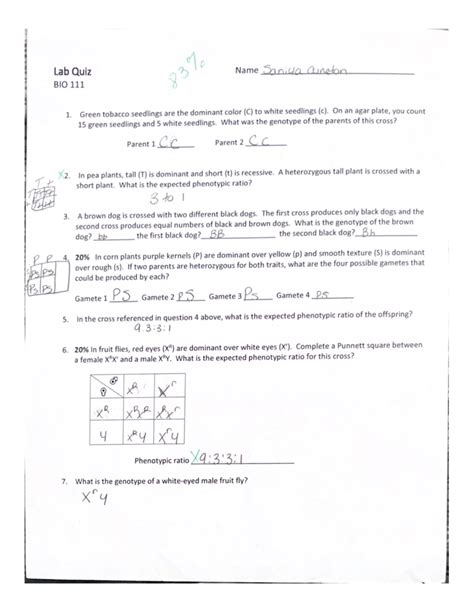 Image result for Human Genetics Lab Answers